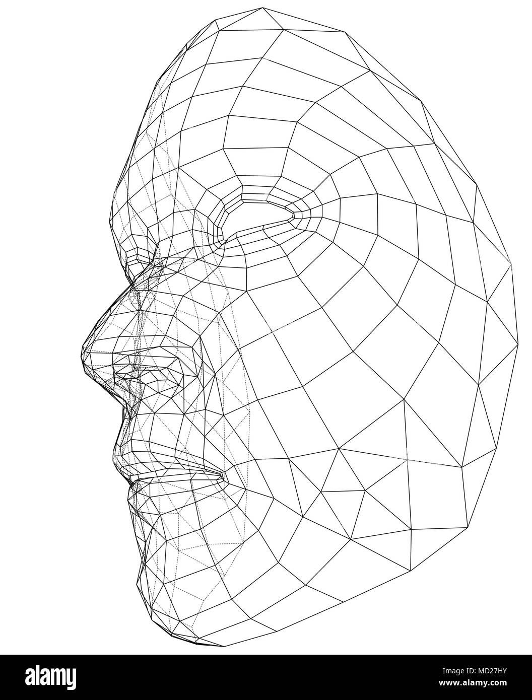 Wire-frame abstract human face Stock Vector Image & Art - Alamy