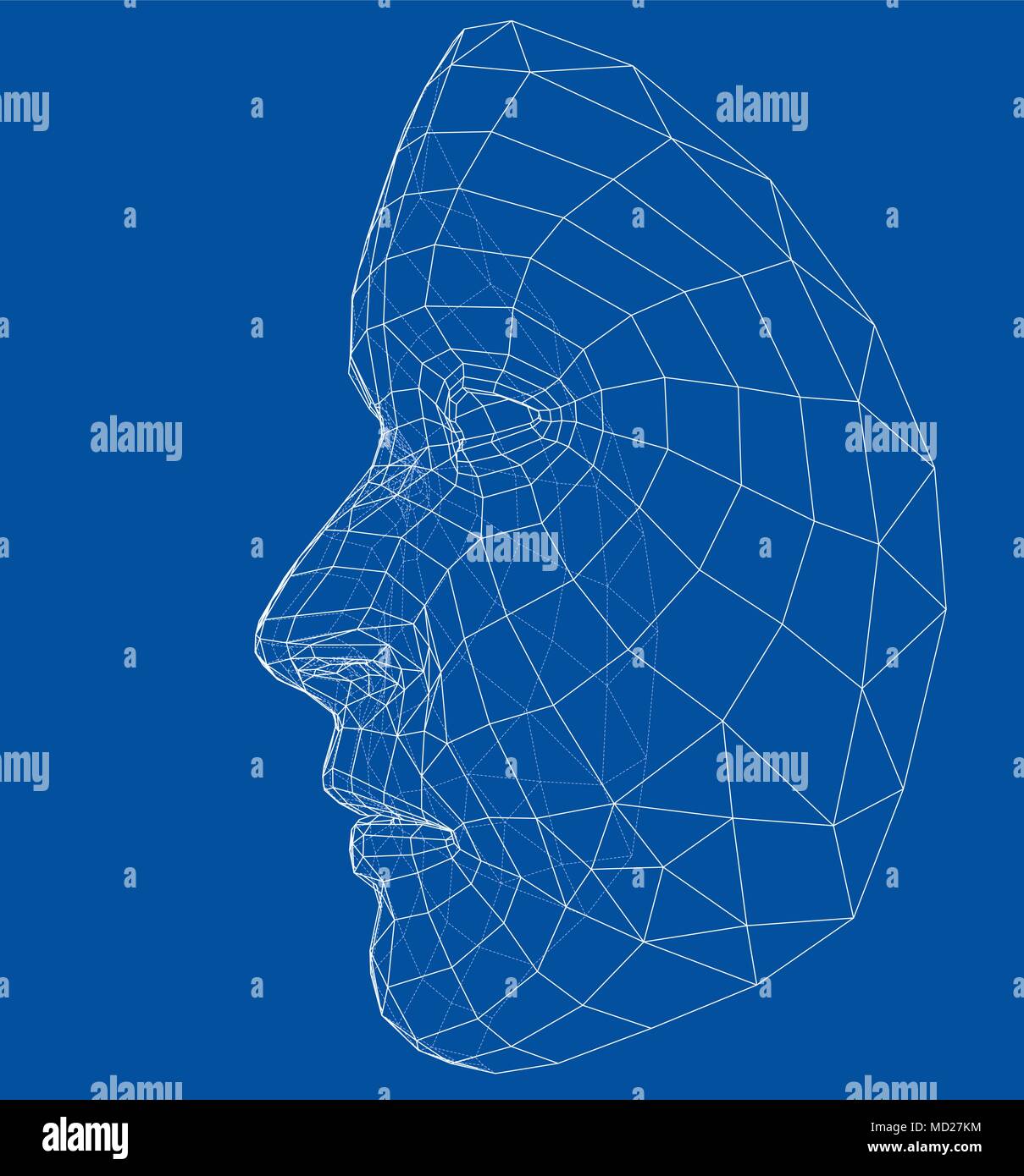 Wire-frame abstract human face Stock Vector Image & Art - Alamy