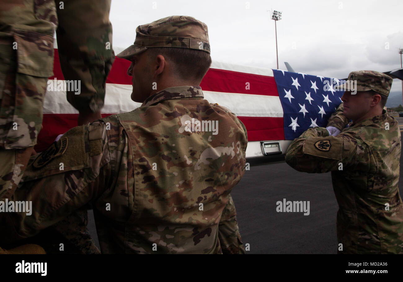 U.S. service members with the Defense POW/MIA Accounting Agency (DPAA ...