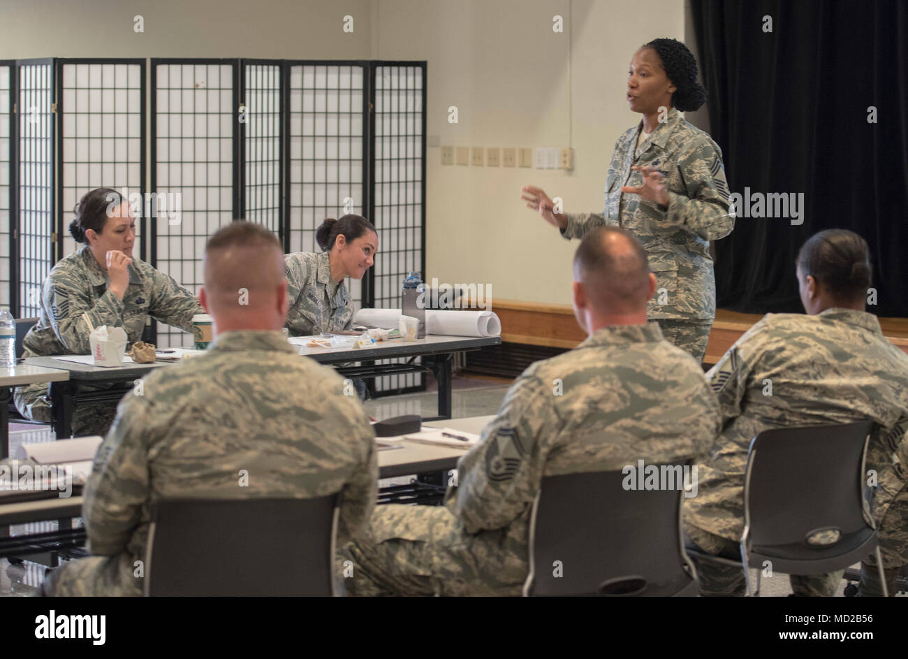 U.S. Air Force Chief Master Sgt. Melissa Royster, 18th Logistics ...
