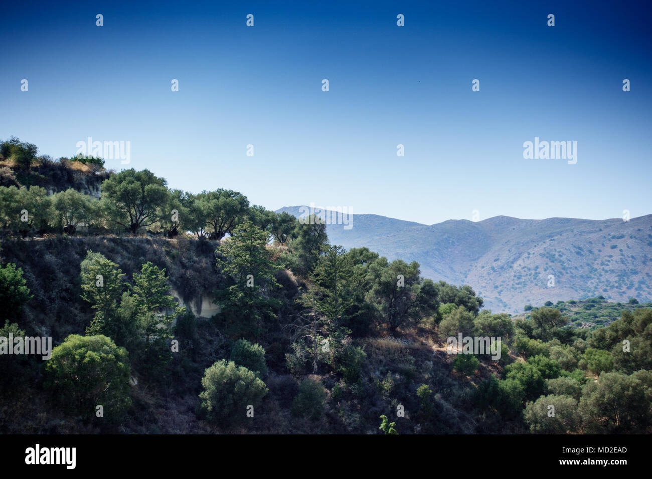 People forest greece hi-res stock photography and images - Alamy