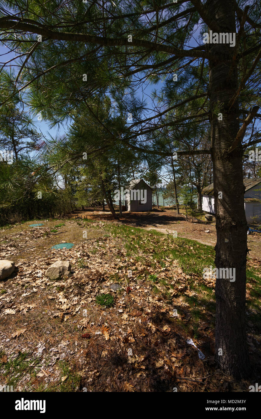 Small hut and trees in forest, Ontario, Canada Stock Photo - Alamy