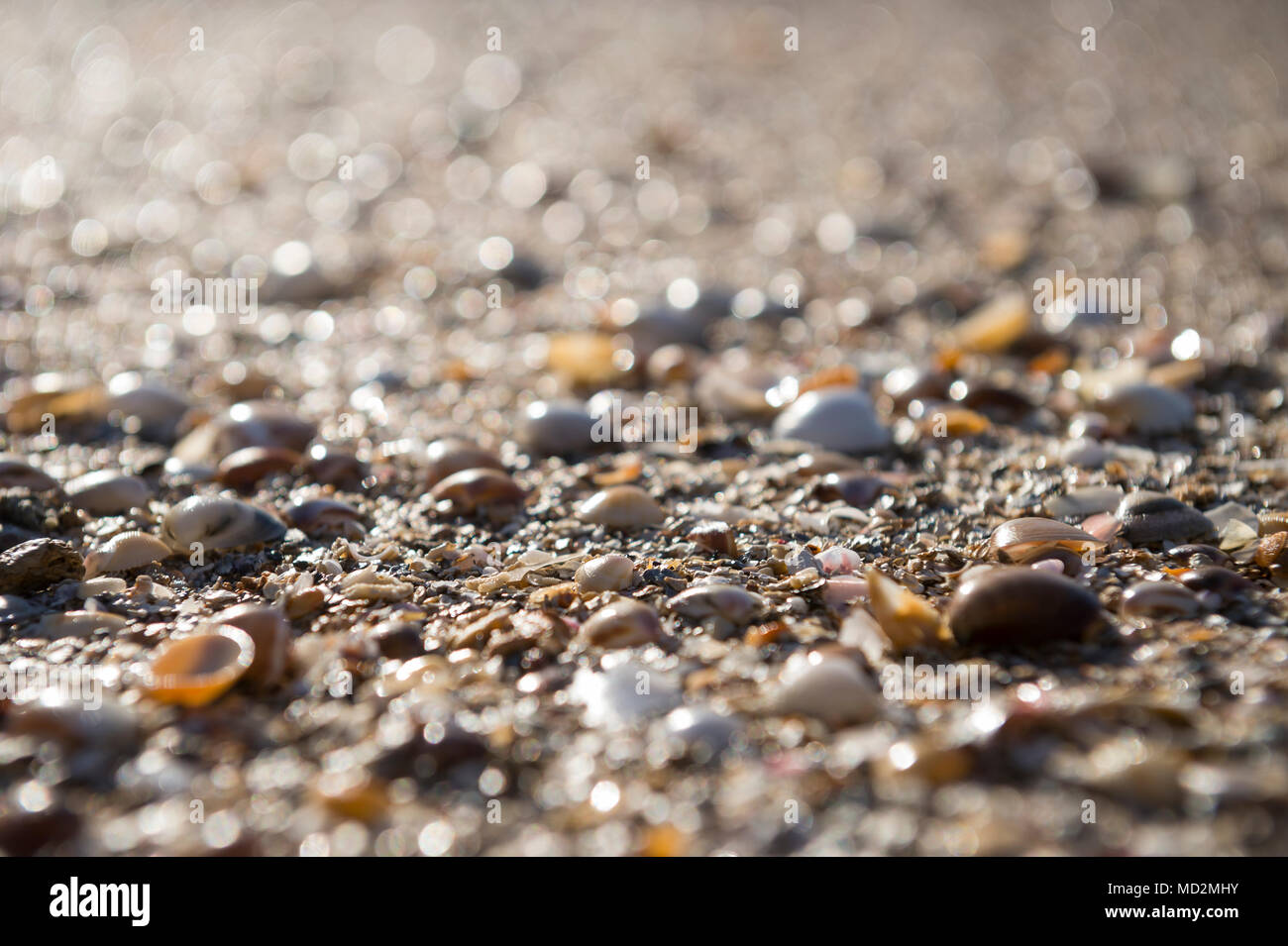Close-up abstract view of sand texture made from broken shells and ...