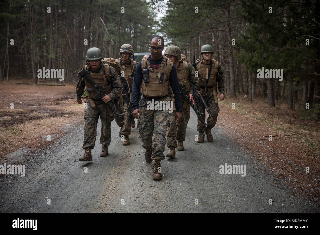 Marine corps martial arts instructor trainer hi-res stock photography ...