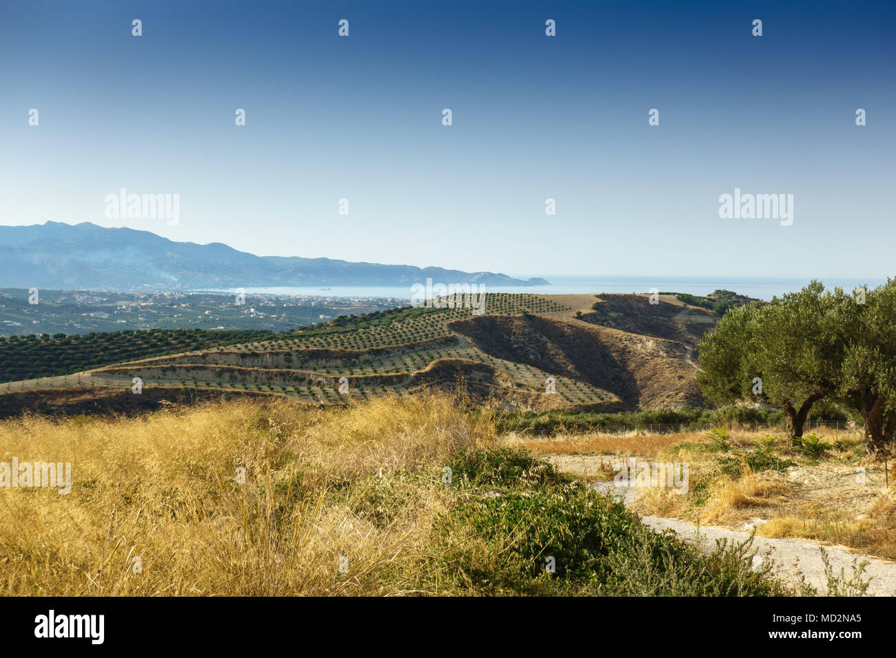 Agricultural field and mountain, Crete, Greece Stock Photo - Alamy