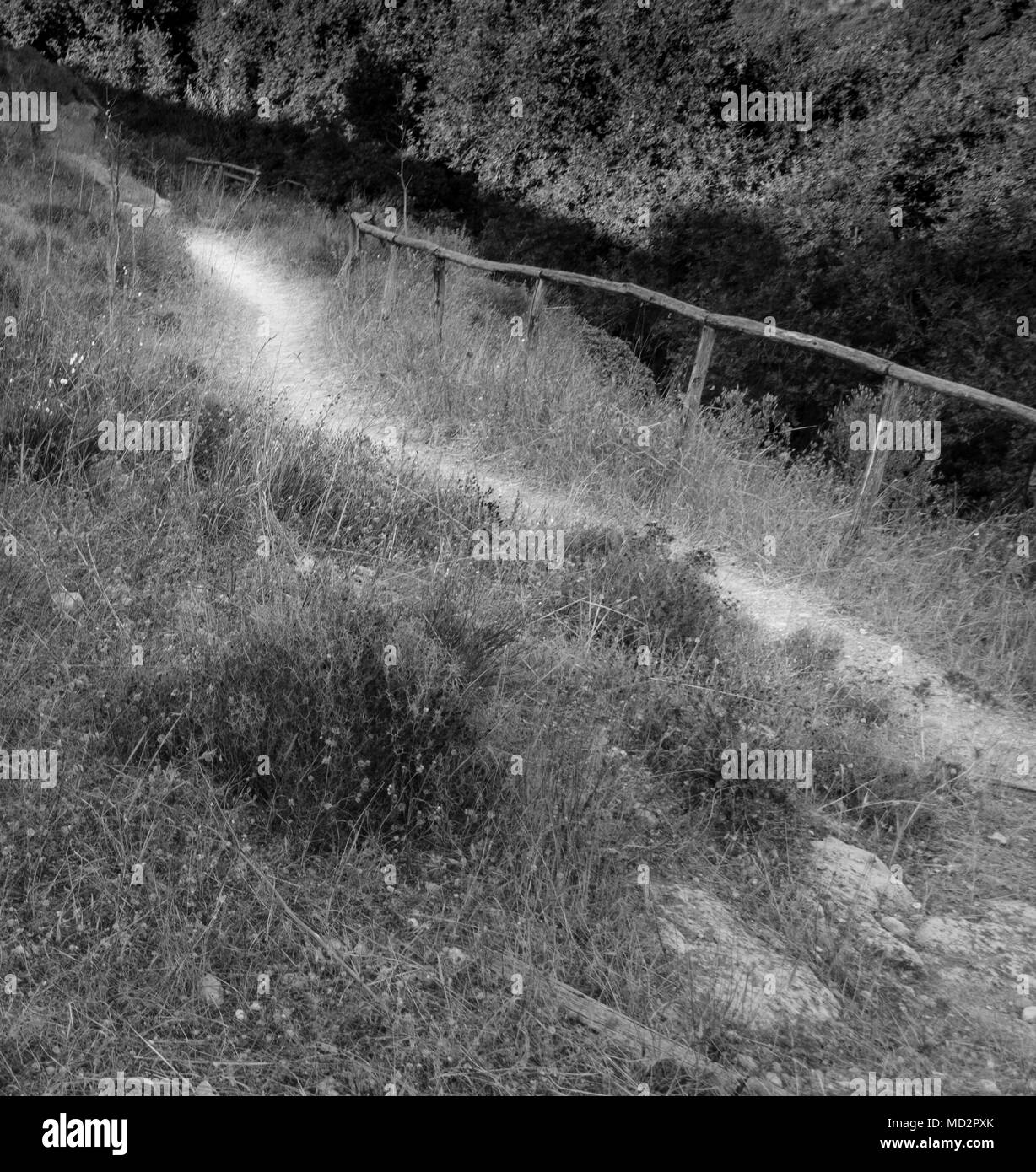 Hiking trail and grass field, Crete, Greece Stock Photo - Alamy