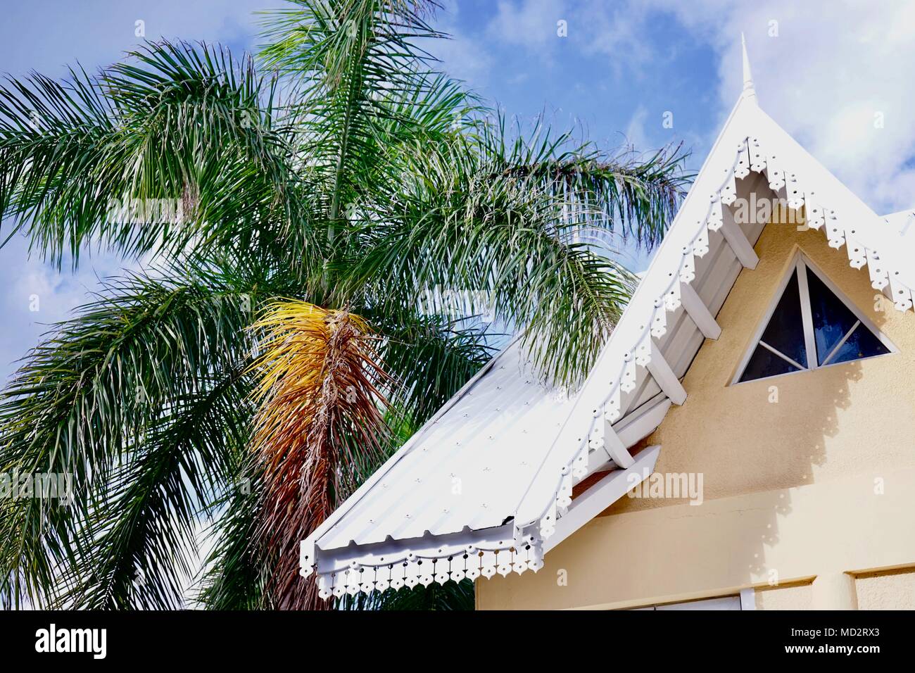 Coconut Tree Leaves Roof