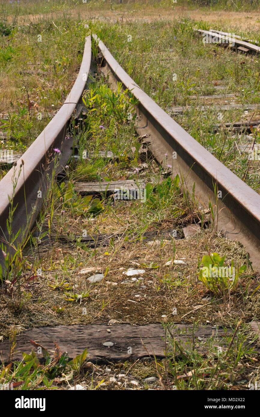 Abandoned railroad track in Alberta, Canada Stock Photo - Alamy