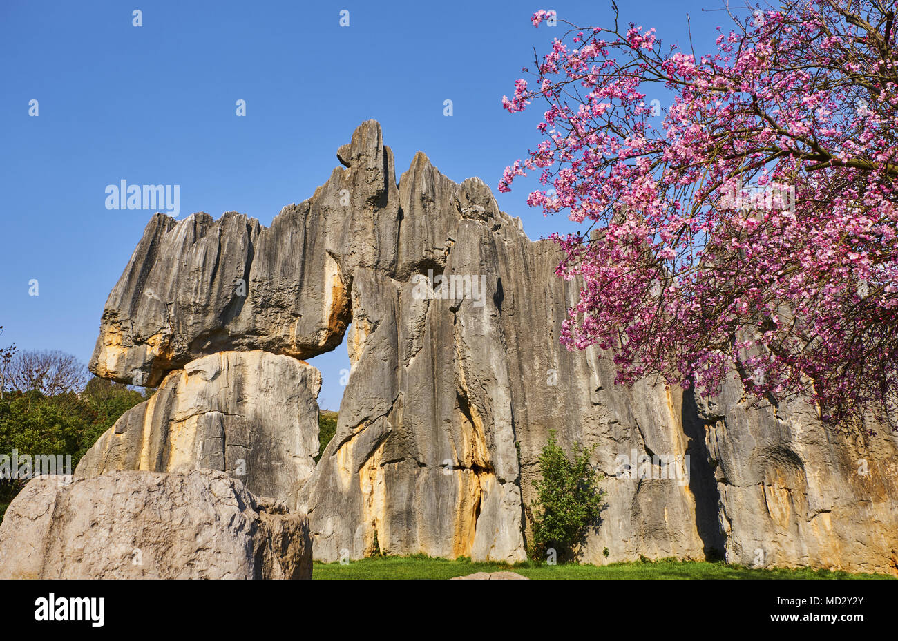 Limestone pinnacles in Shilin, Stone Forest, at Lunan, Yunnan, China ...
