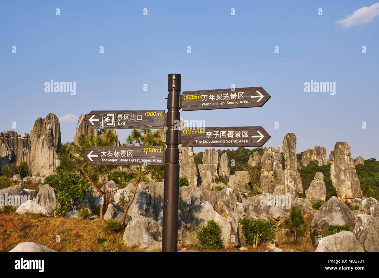 Limestone pinnacles in Shilin, Stone Forest, at Lunan, Yunnan, China ...