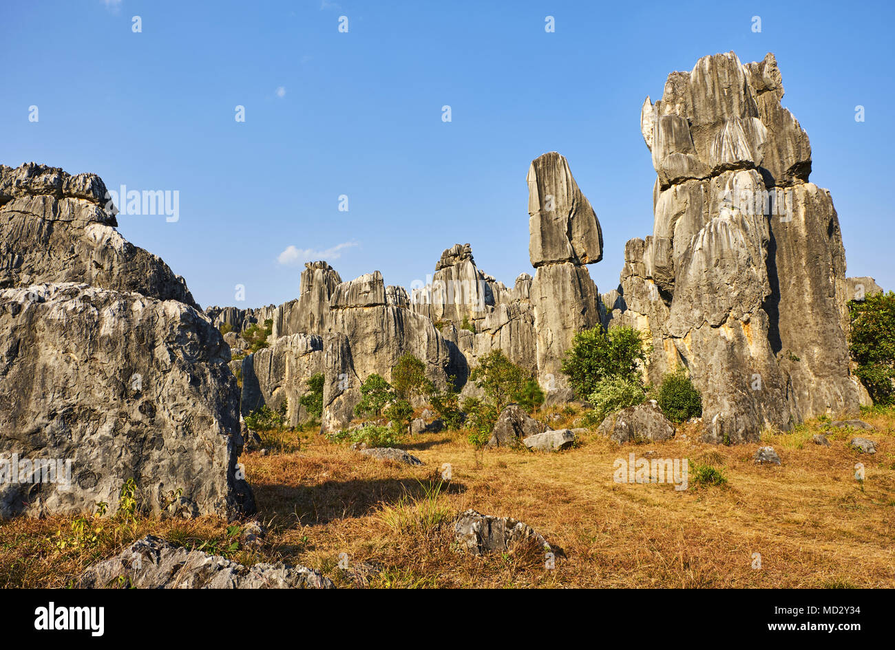 Limestone pinnacles in Shilin, Stone Forest, at Lunan, Yunnan, China ...