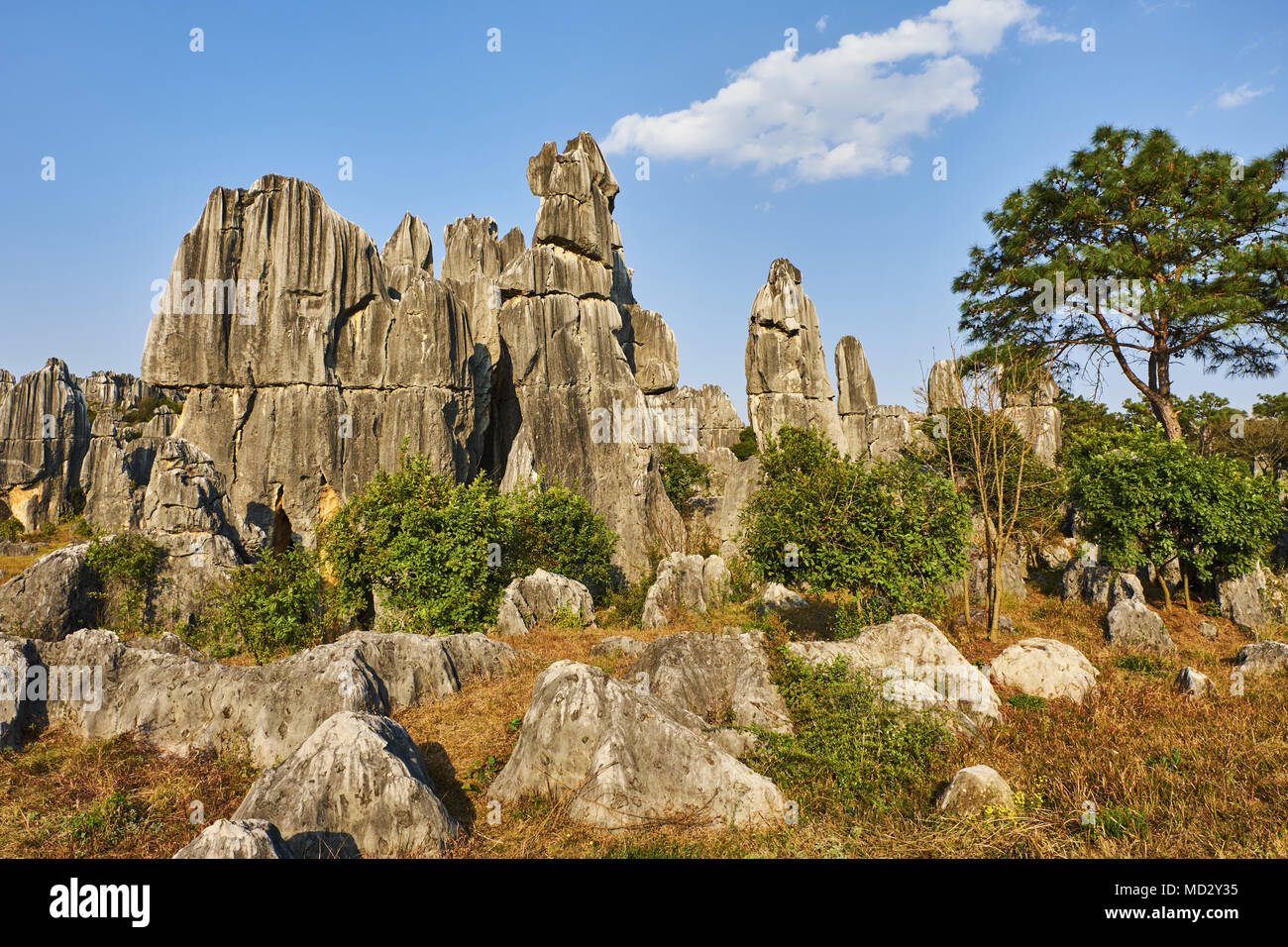 Limestone pinnacles in Shilin, Stone Forest, at Lunan, Yunnan, China ...