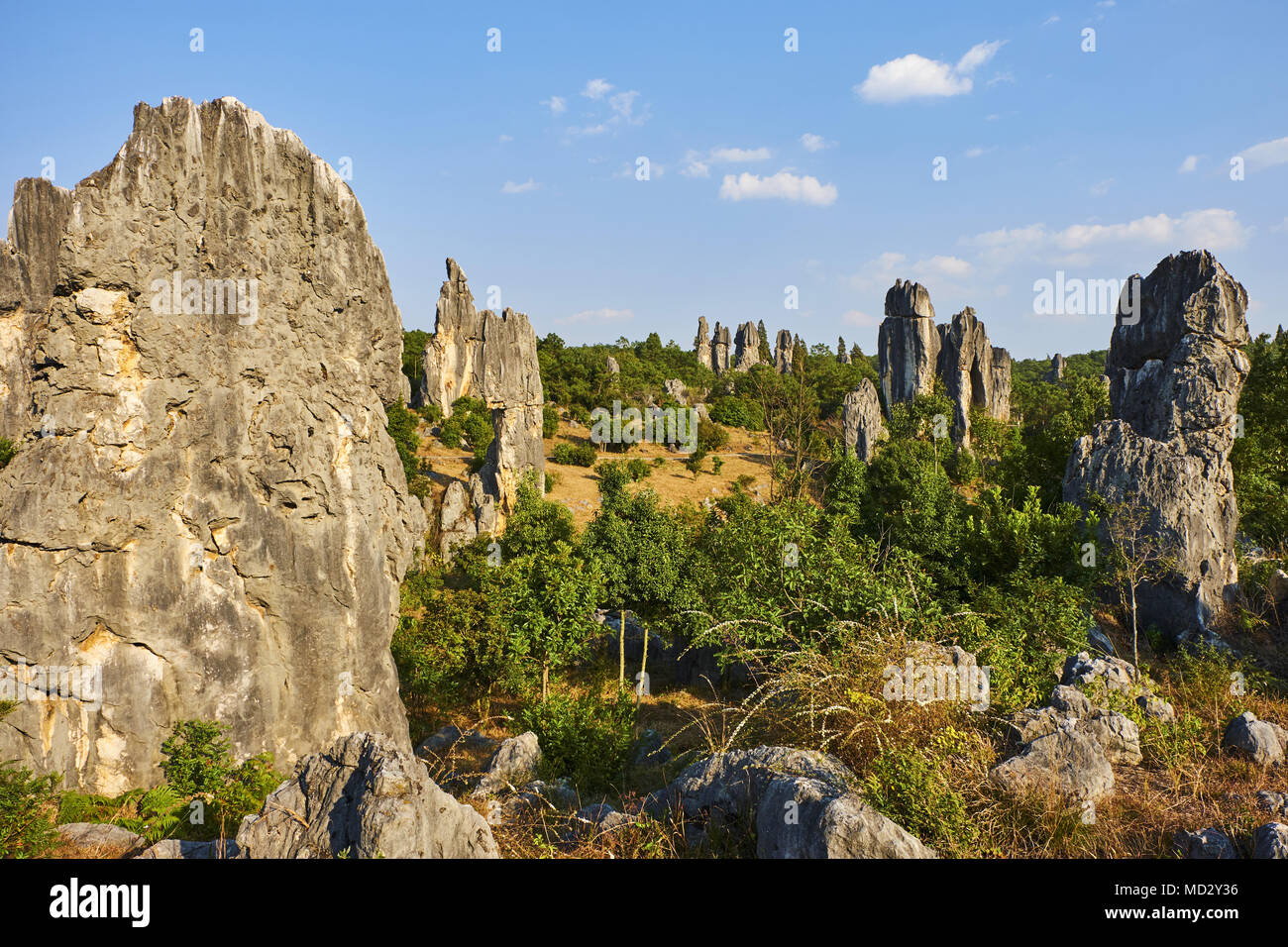 Limestone pinnacles in Shilin, Stone Forest, at Lunan, Yunnan, China ...