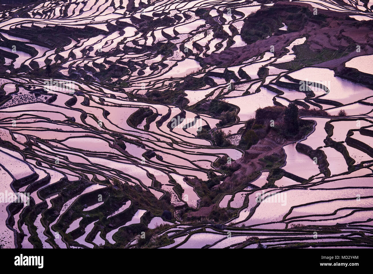 Terraced paddy fields hi-res stock photography and images - Alamy