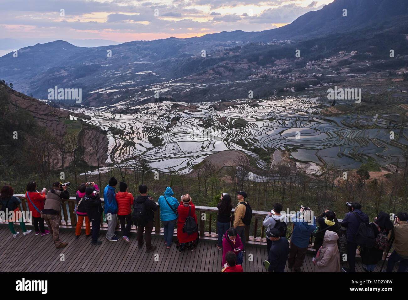 China, Yunnan, Yuanyang, terraced paddy-fields Stock Photo - Alamy