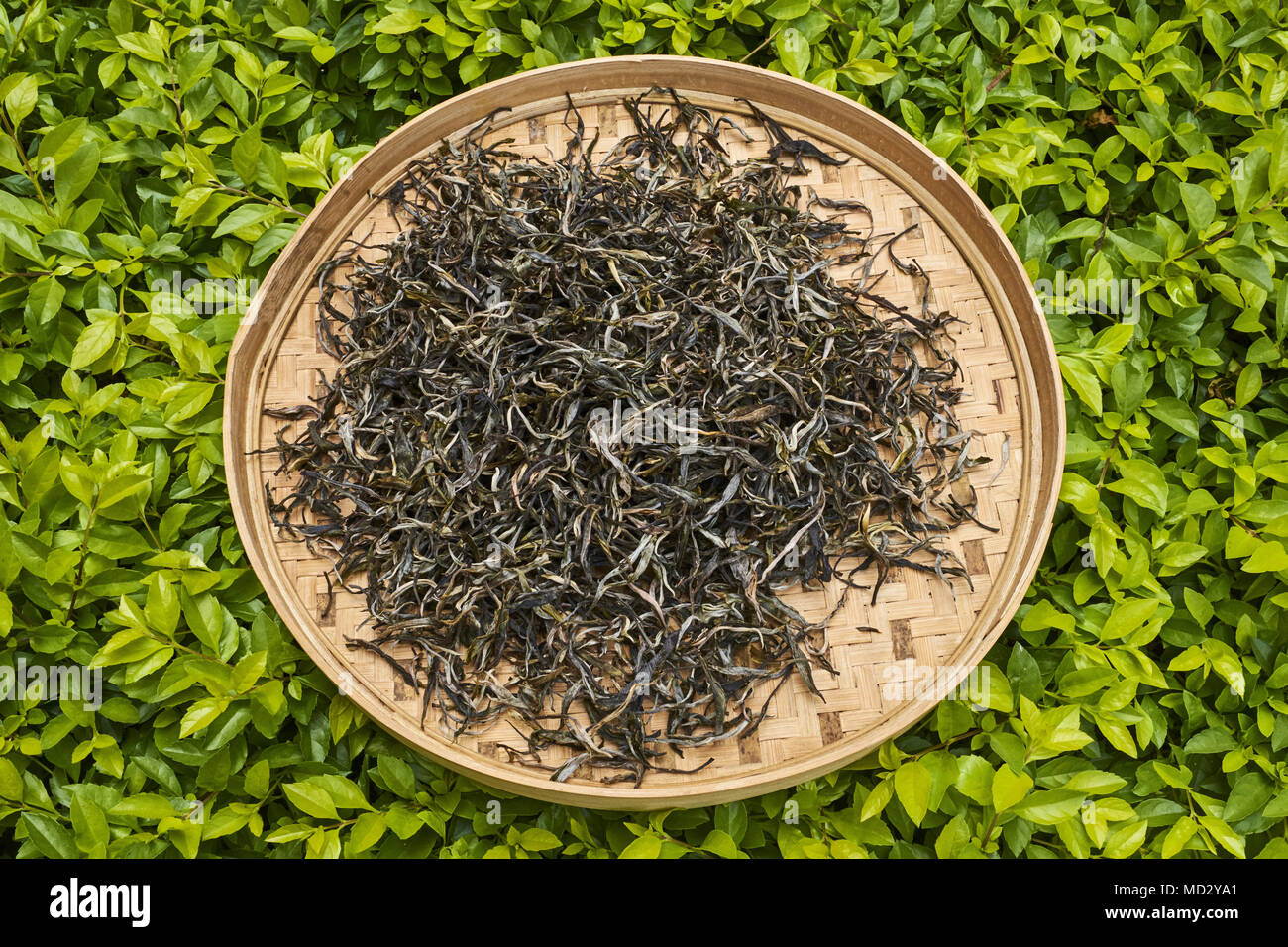 China, Yunnan, Kunming, tea market Stock Photo - Alamy