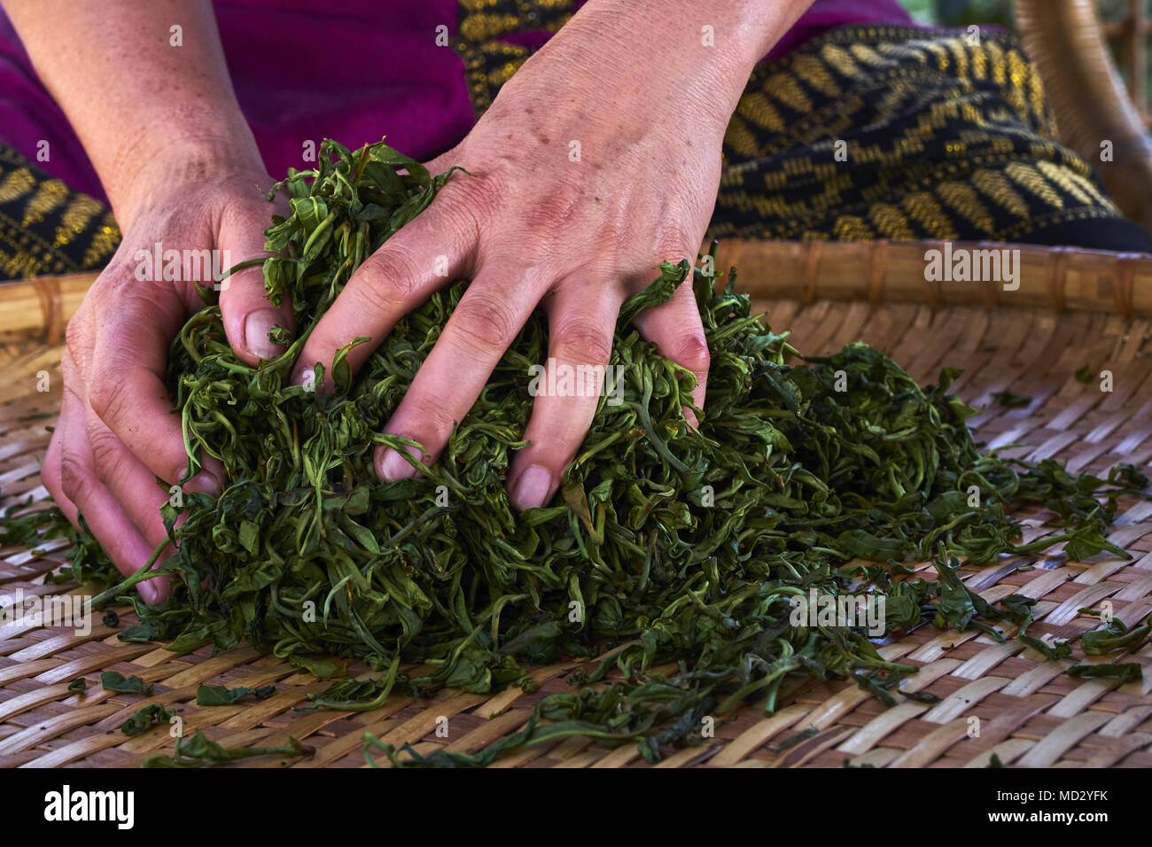 Rolling tea leaves hi-res stock photography and images - Alamy