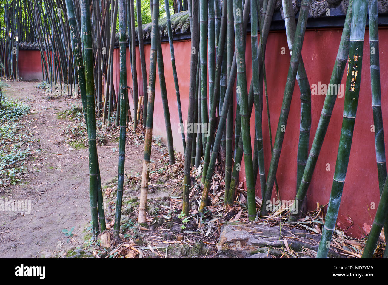 Wuhou temple hi-res stock photography and images - Alamy