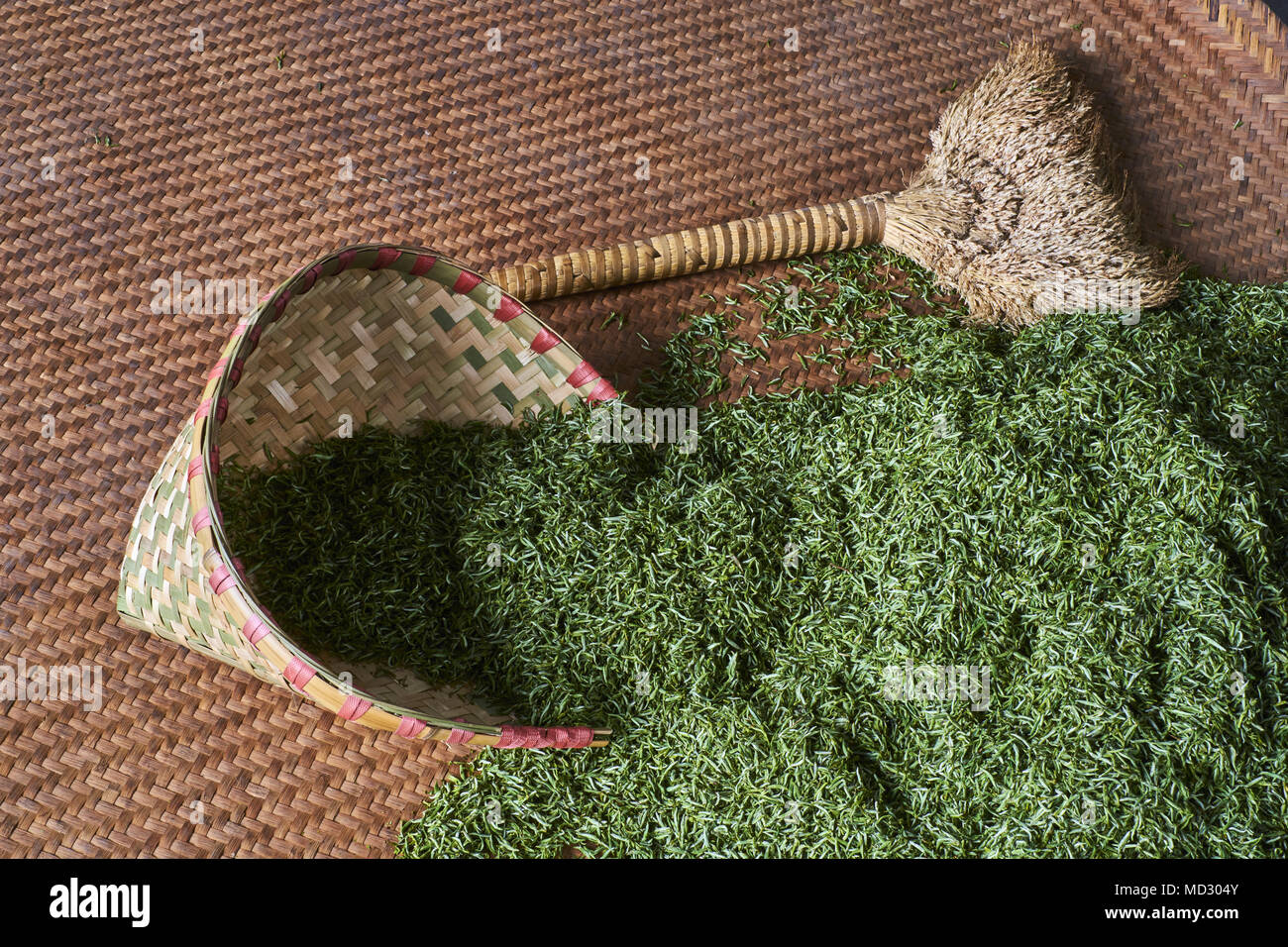 China, Sichuan province, Mingshan, tea factory Stock Photo - Alamy