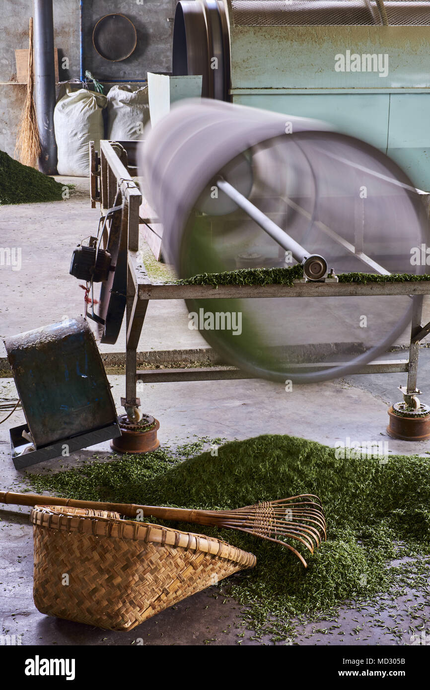 Tea factory china hi-res stock photography and images - Alamy