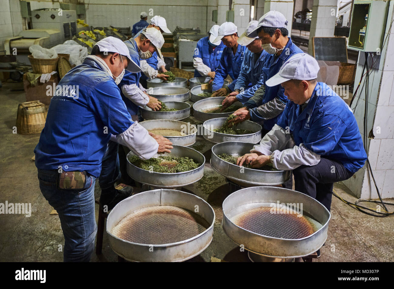 Mingshan tea hi-res stock photography and images - Alamy