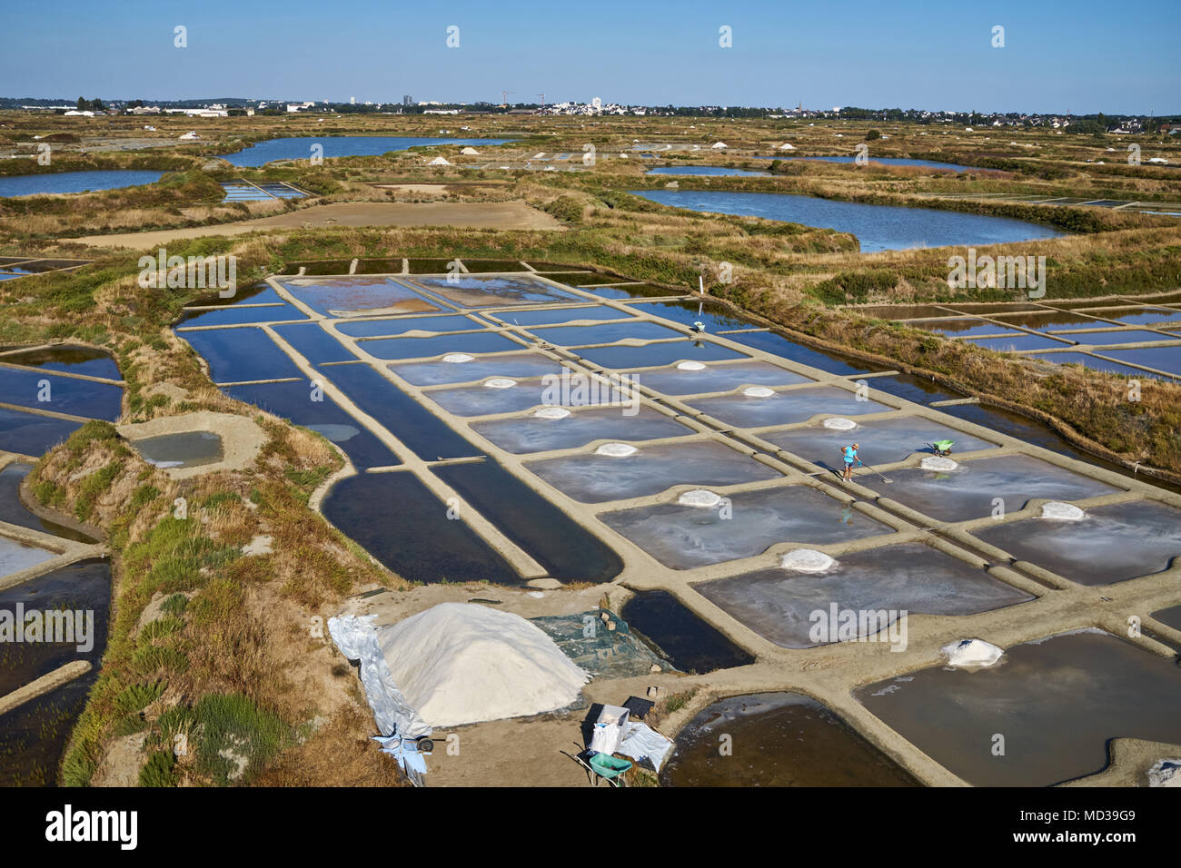 France, Loire-Atlantique, Guérande, Salt marshes of Guerande Stock ...