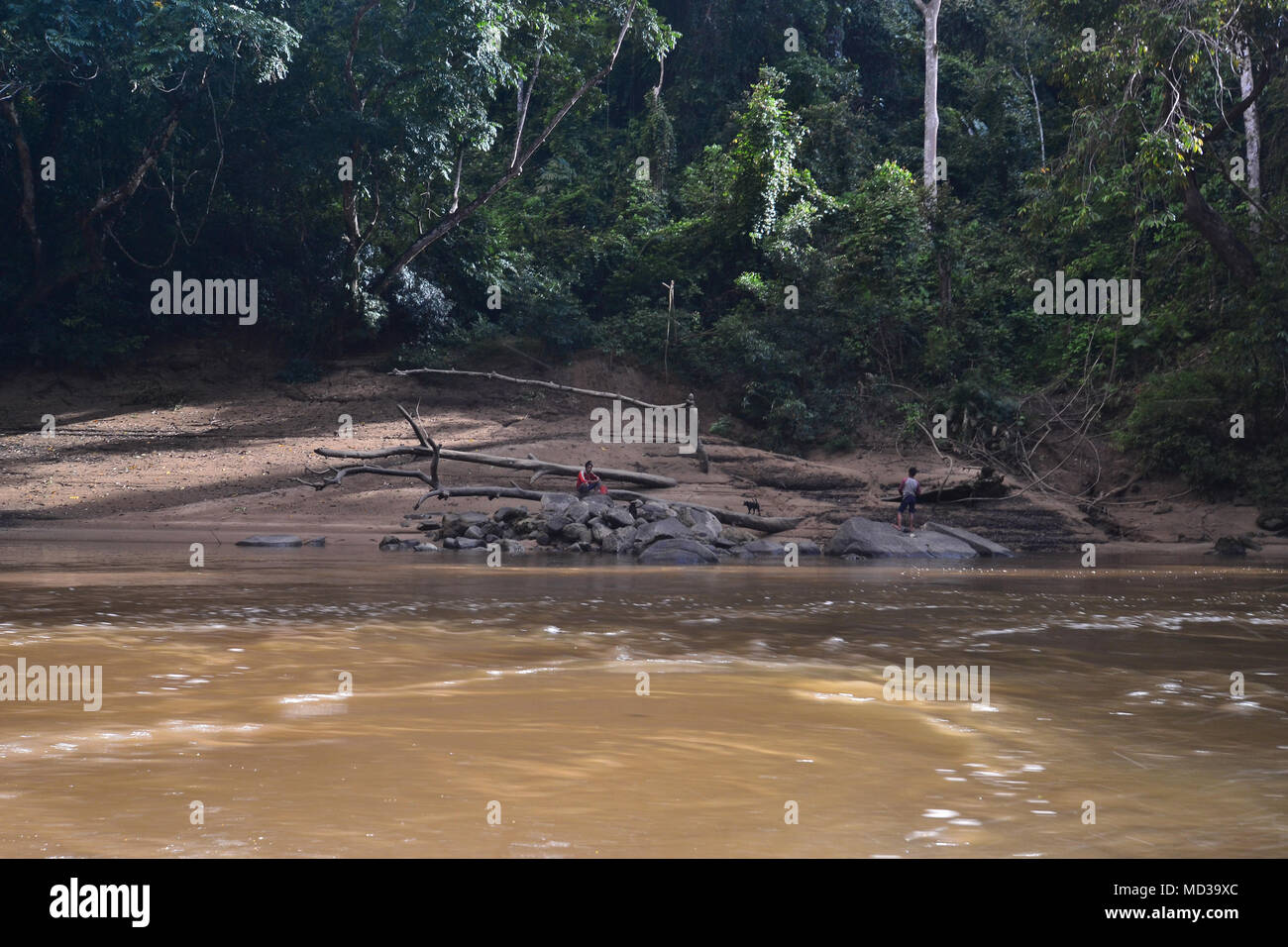 scenery of Dayak tribe and life close to the river in Borneo, Indonesia ...