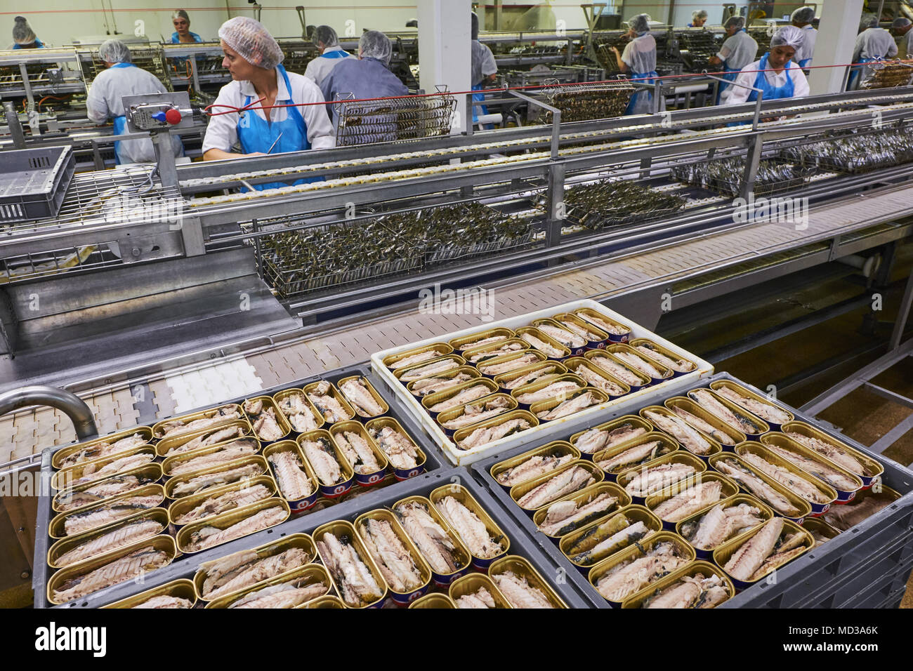 Canning Factory High Resolution Stock Photography and Images - Alamy