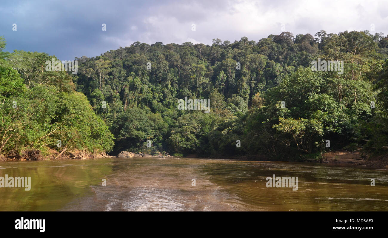 scenery of Dayak tribe and life close to the river in Borneo, Indonesia ...
