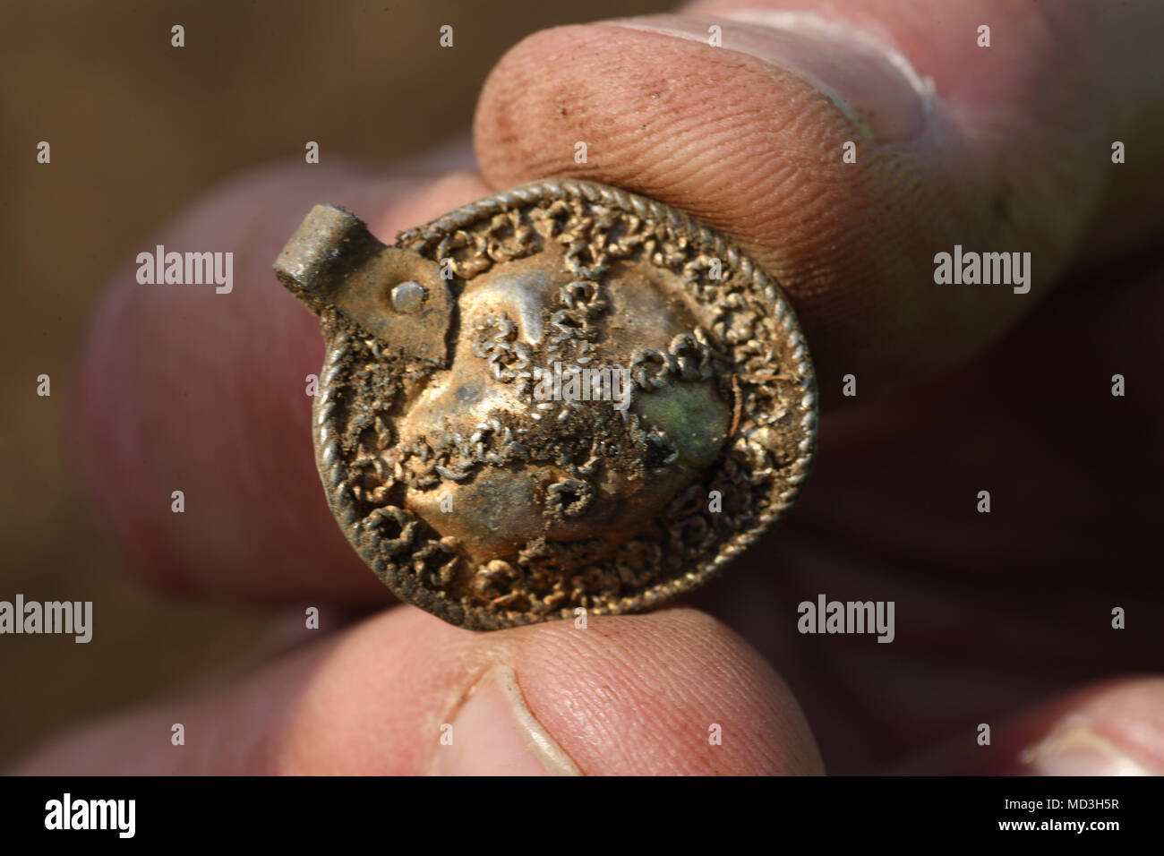 Harald bluetooth treasure hi-res stock photography and images - Alamy