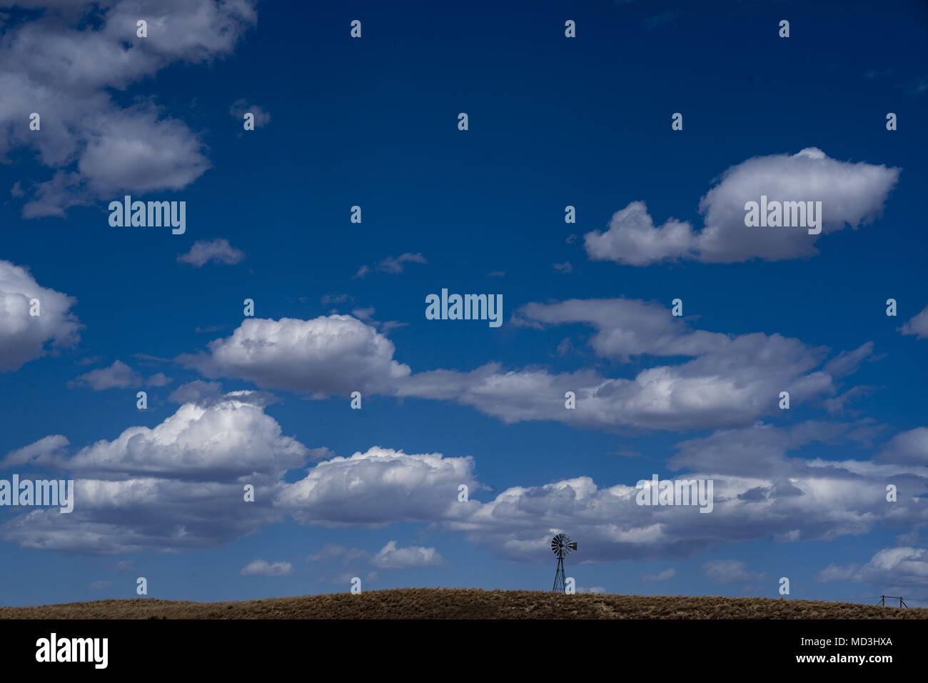 Nebraska national forest hi-res stock photography and images - Alamy