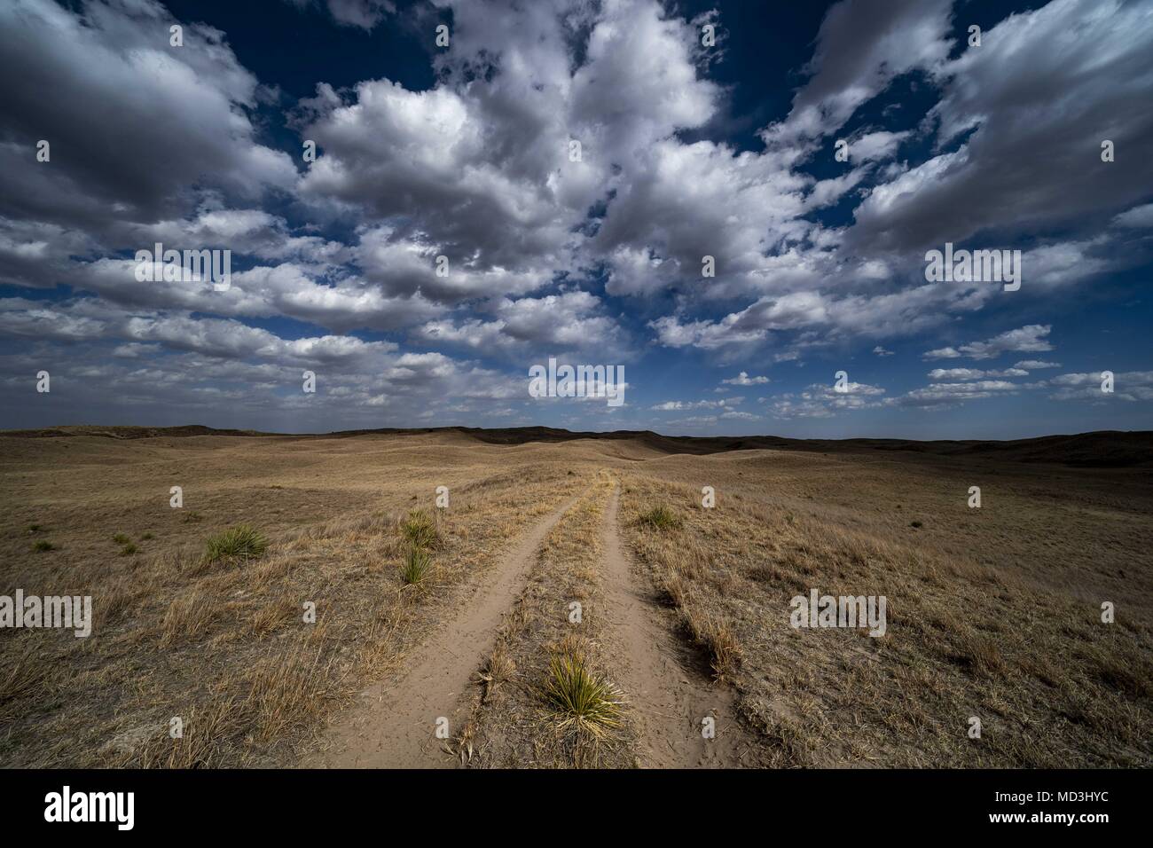 Nebraska, USA. 11th Apr, 2017. Sandhills of Nebraska.Nebraska National ...