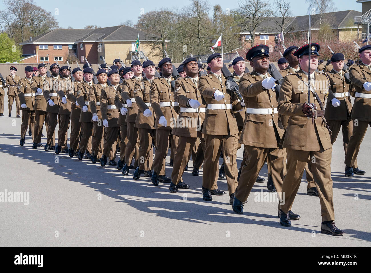 Pirbright Army High Resolution Stock Photography and Images - Alamy