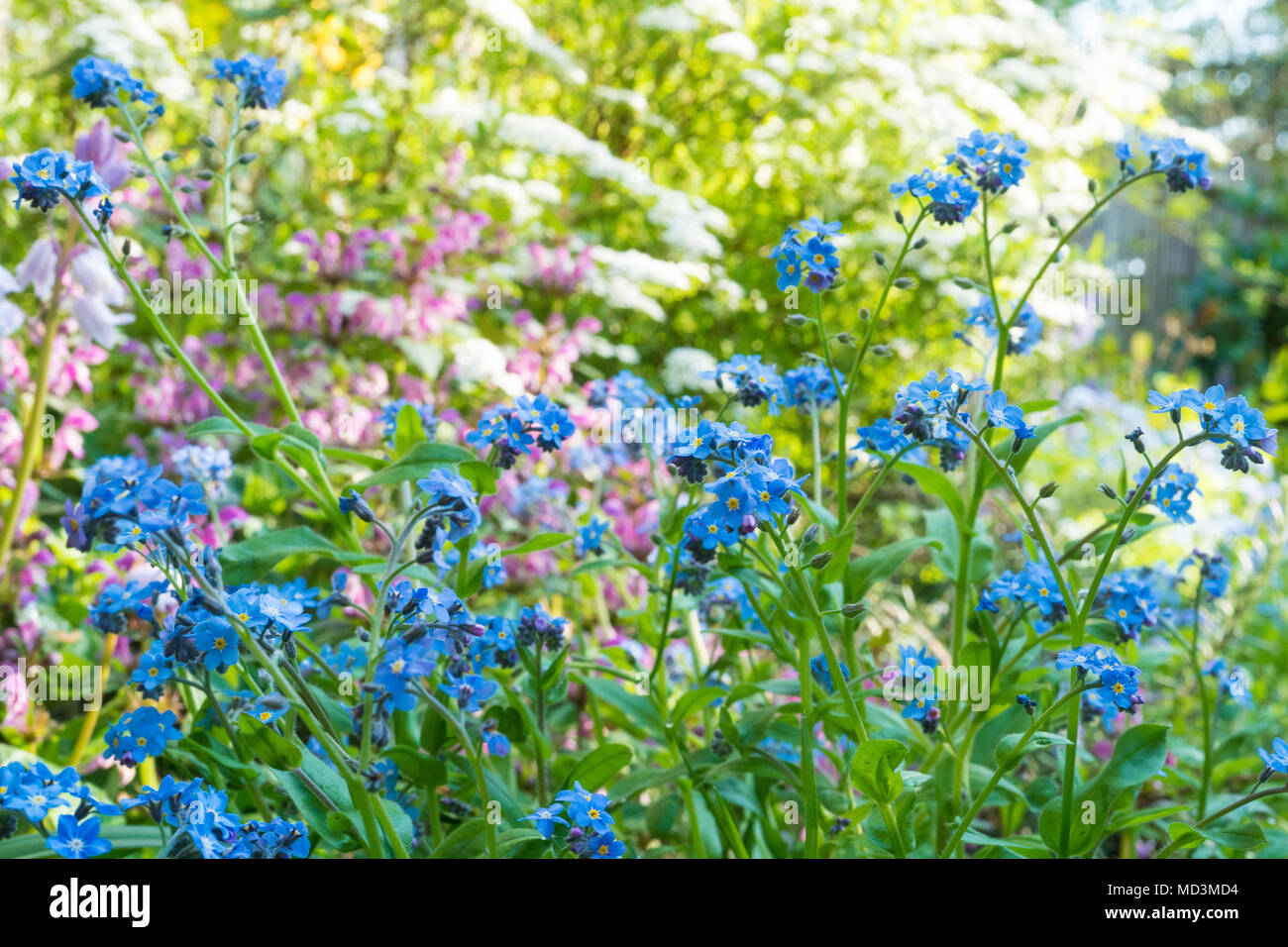 Pantheonism hi-res stock photography and images - Alamy