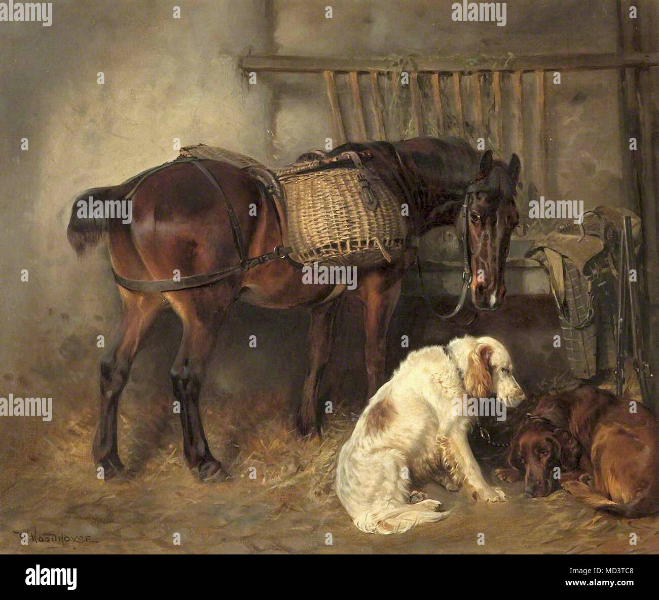 William woodhouse hi-res stock photography and images - Alamy