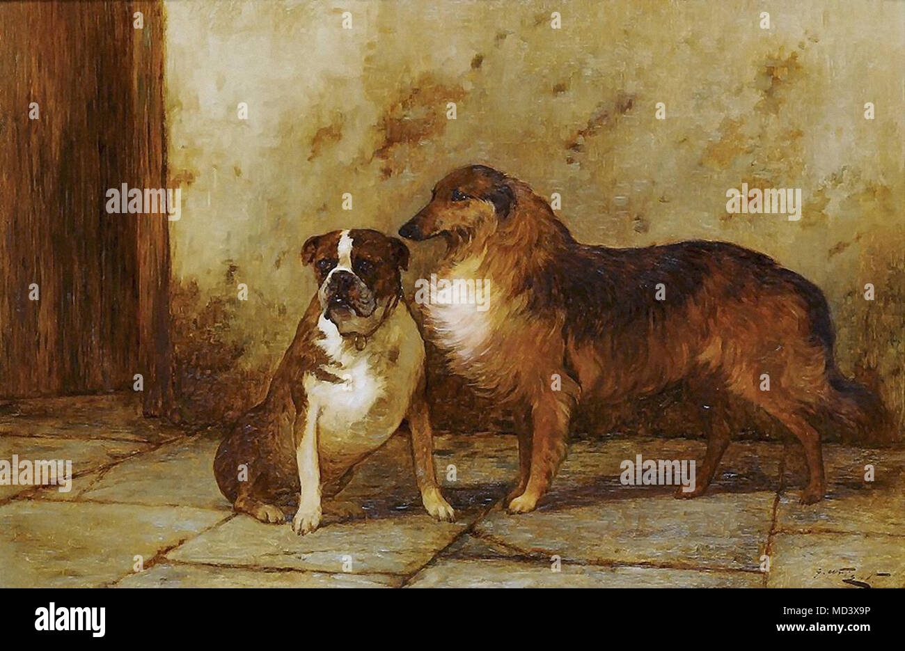 Collie wright hi-res stock photography and images - Alamy