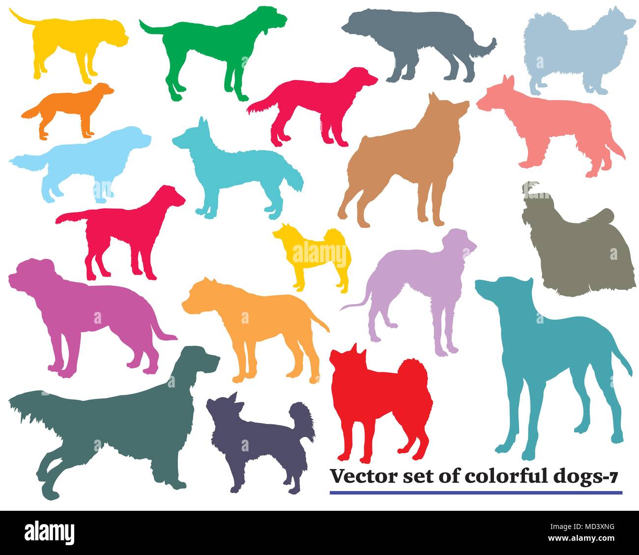 Vector set of colorful isolated different breeds dogs silhouettes on ...