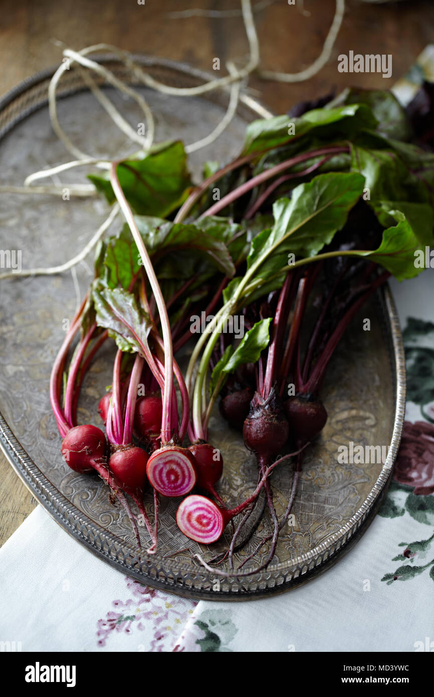 Root tray hi-res stock photography and images - Alamy