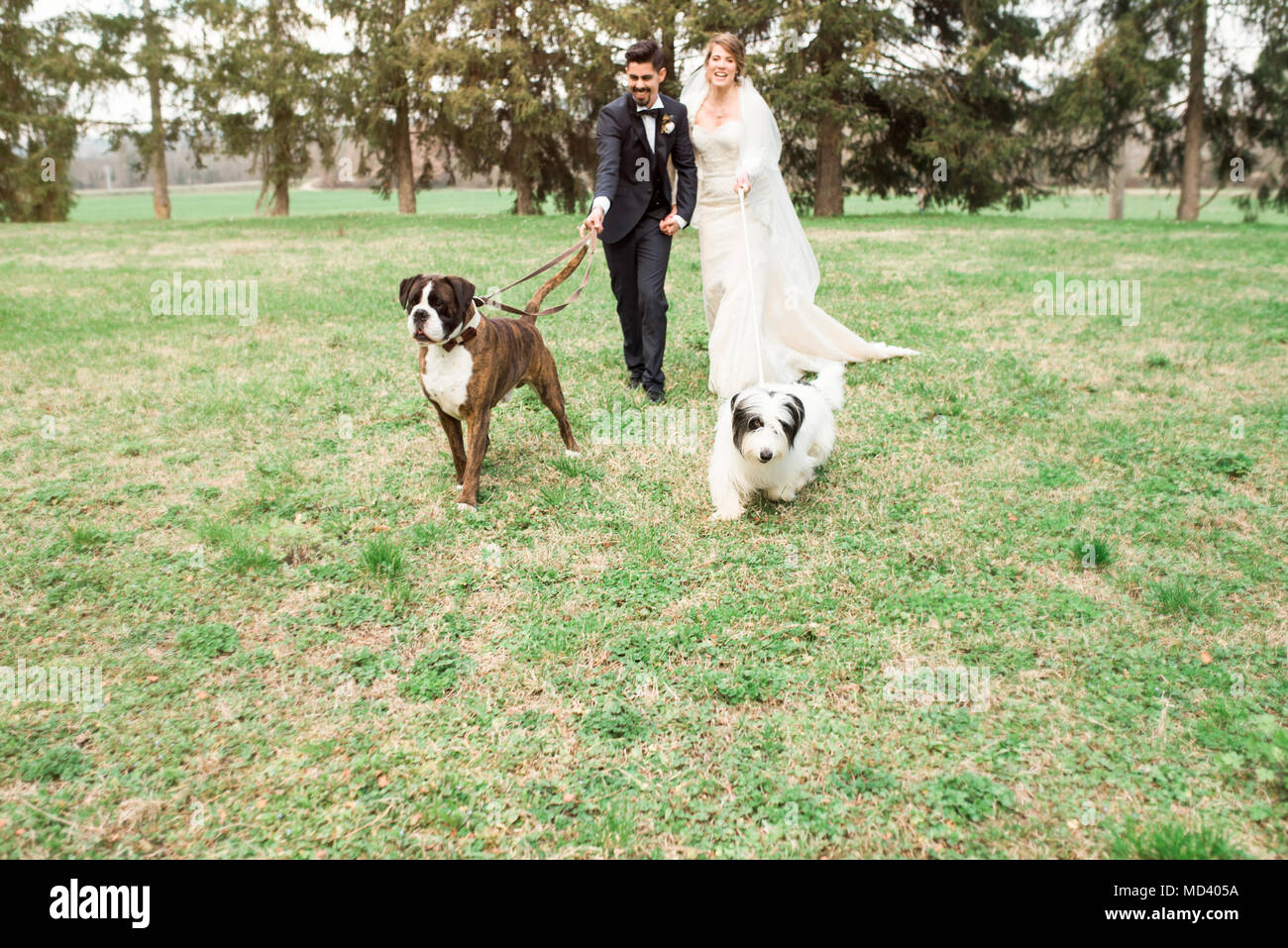 Portrait of bride and bridegroom with their dogs Stock Photo - Alamy