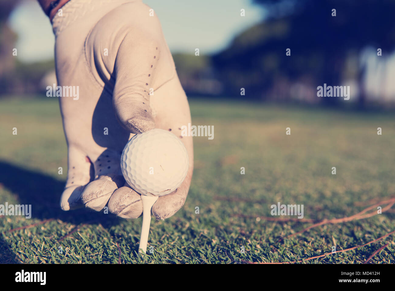 closeup of golf players hand placing ball on tee. beautiful sunrise on ...