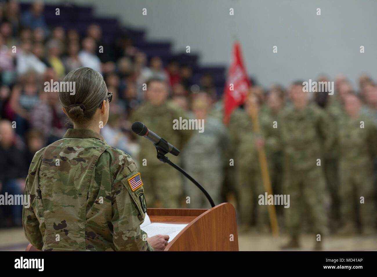 Col. Michelle Link, commander of the 372nd Engineer Brigade, addresses ...