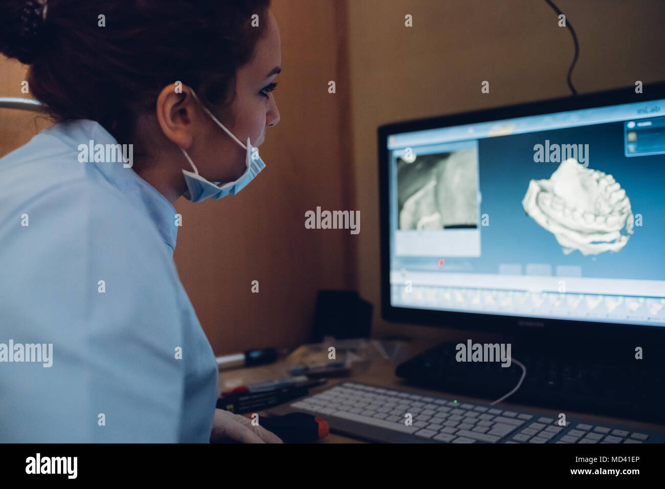 Female dentist looking at model of teeth on computer screen Stock Photo ...