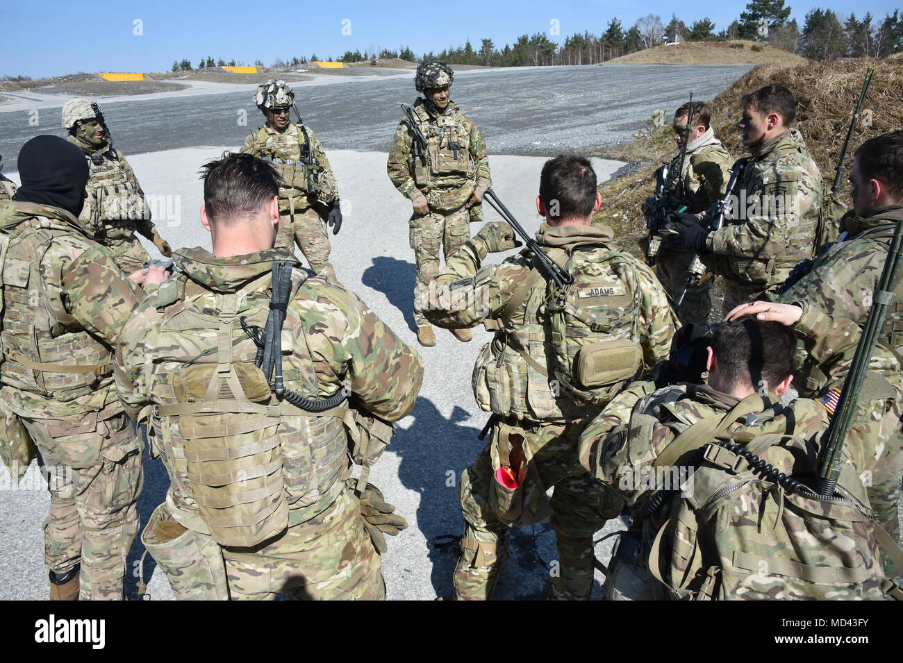 The 2nd Battalion, 503rd Infantry Regiment, 173rd Airborne Brigade ...