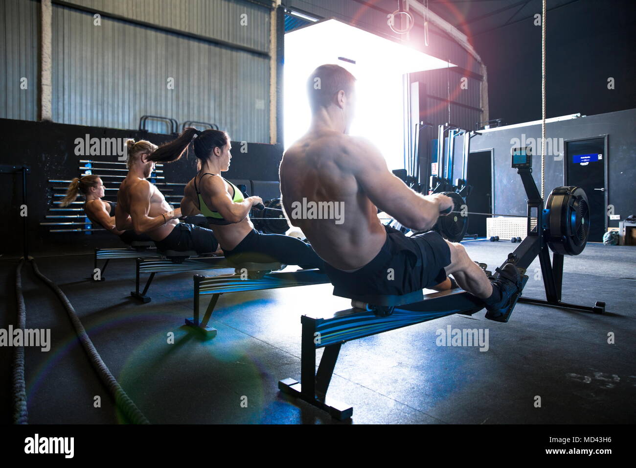 Group of people exercising in gymnasium, using rowing machines, rear ...