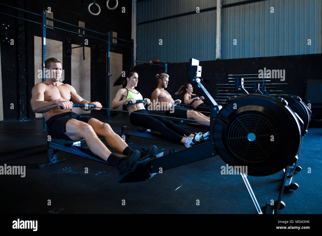 Group of people exercising in gymnasium, using rowing machines Stock ...