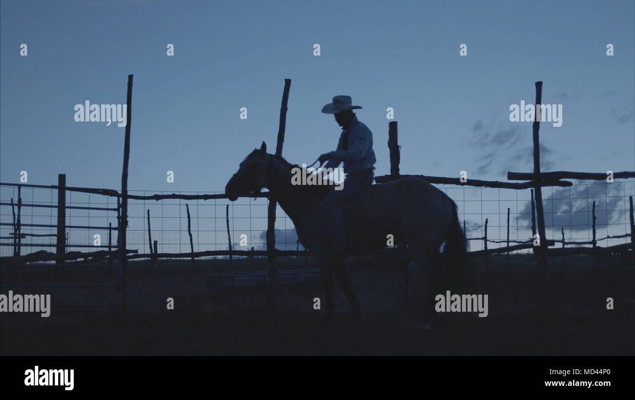 THE RIDER, Brady Jandreu, 2017. © Sony Pictures Classics /Courtesy ...