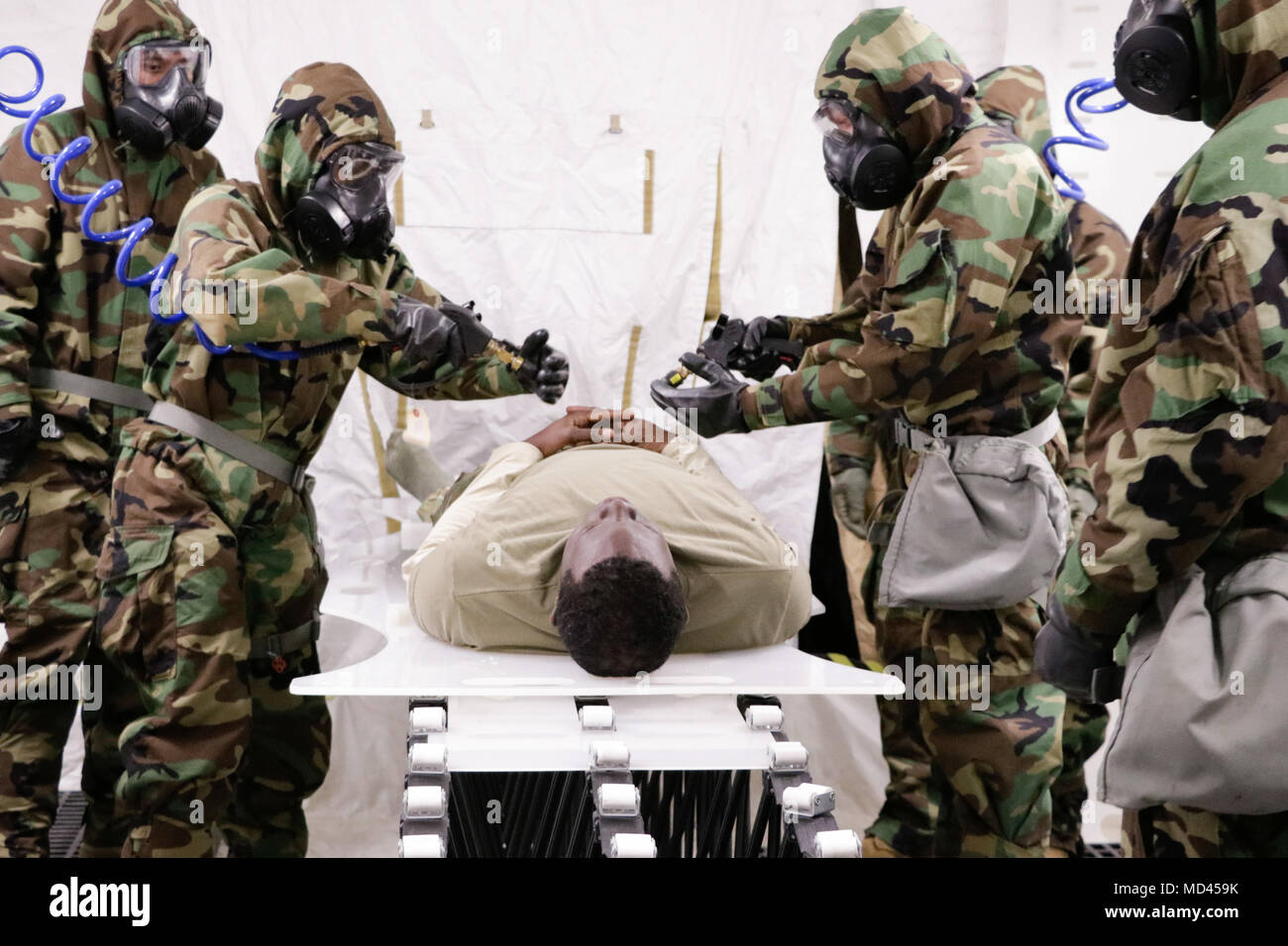 Irds hi-res stock photography and images - Alamy