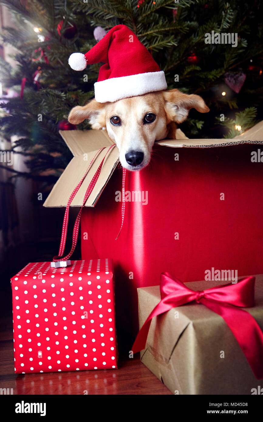 Hat box and hat hi-res stock photography and images - Alamy