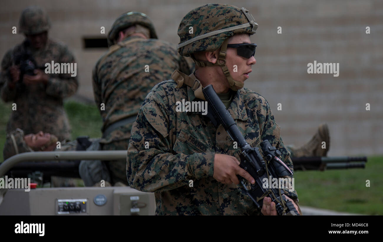 U.S. Marine Corps Lance Cpl. James Francis, an infantryman with 3rd ...