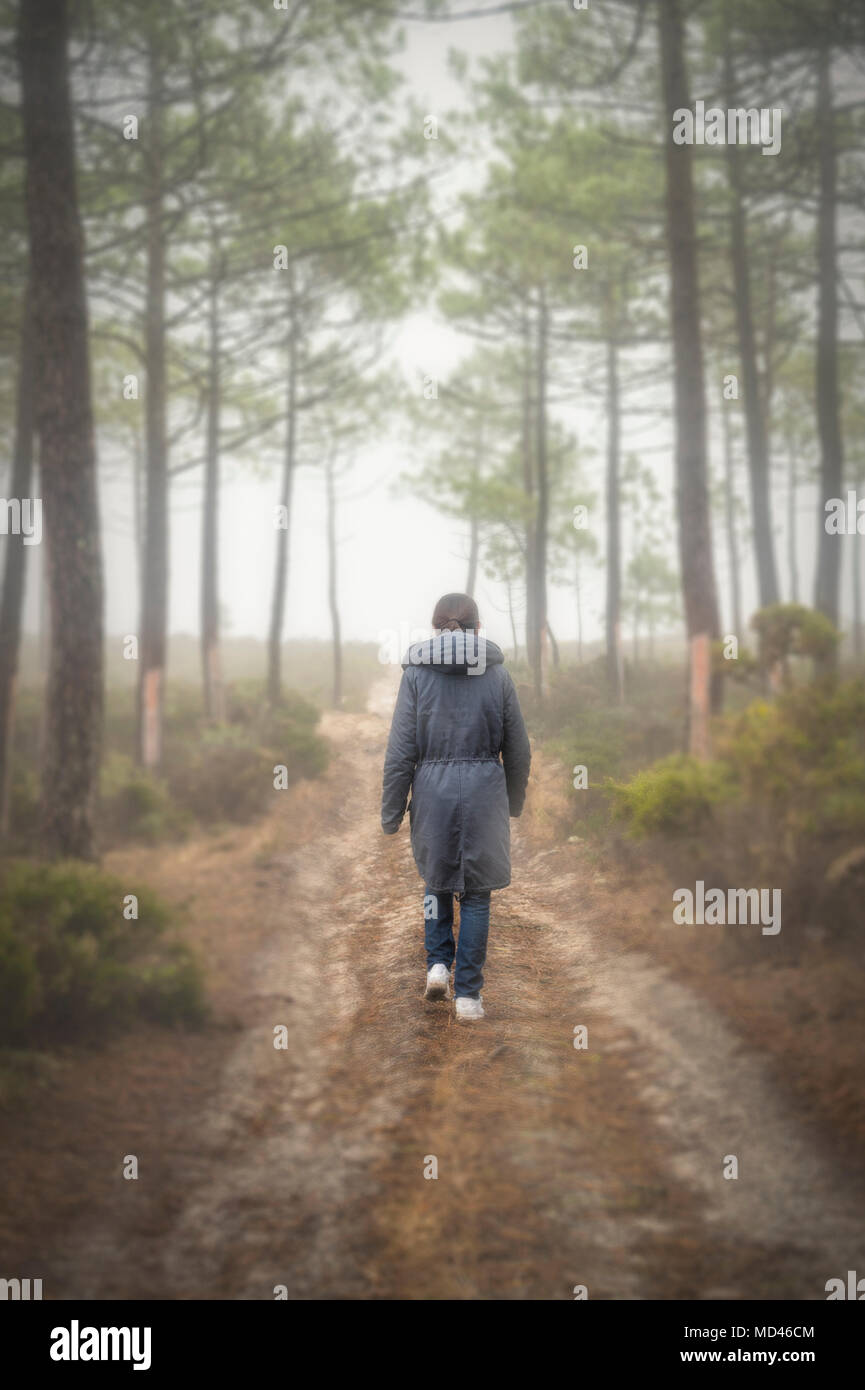 Woman walking through a forest in the fog Stock Photo - Alamy